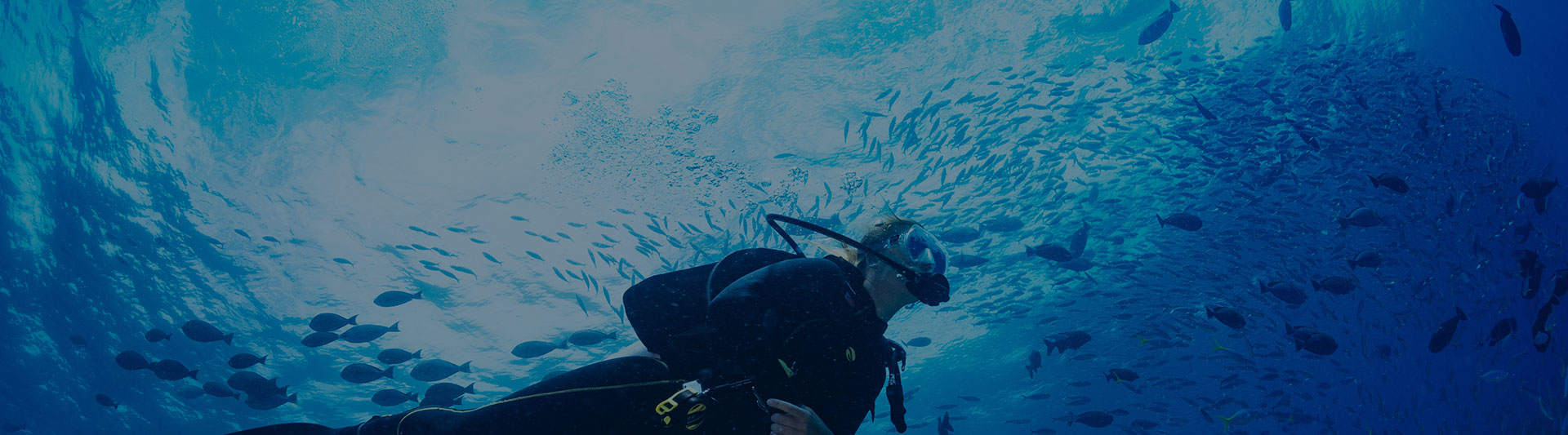 Huatulco Scuba Diving Guide